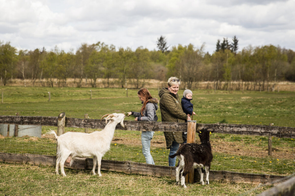 Karensminde – Mark