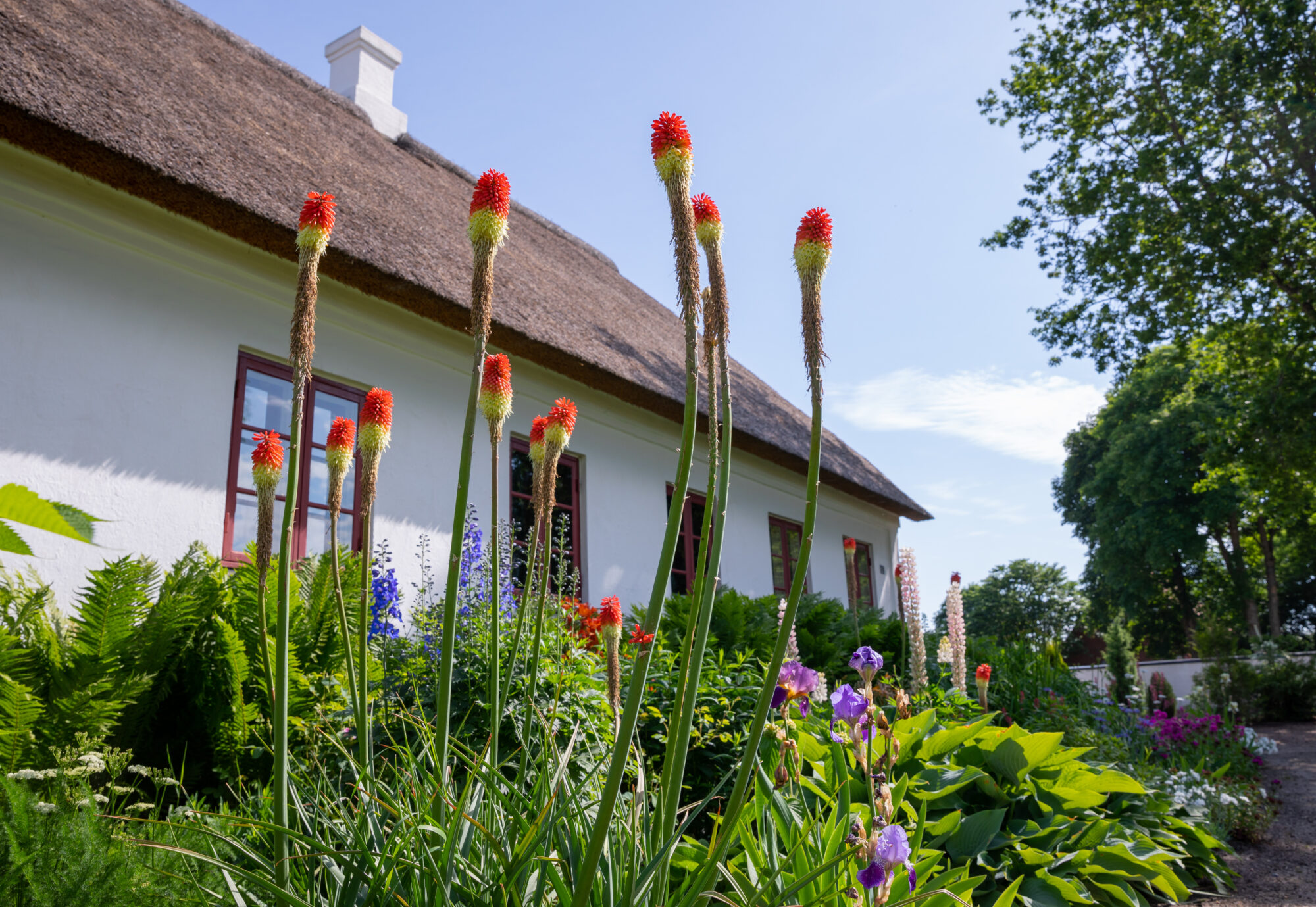 Karensminde – Mark