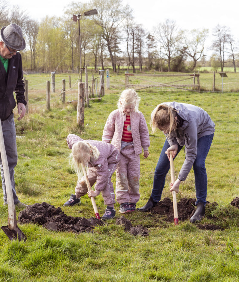 The Farm Karensminde – Mark